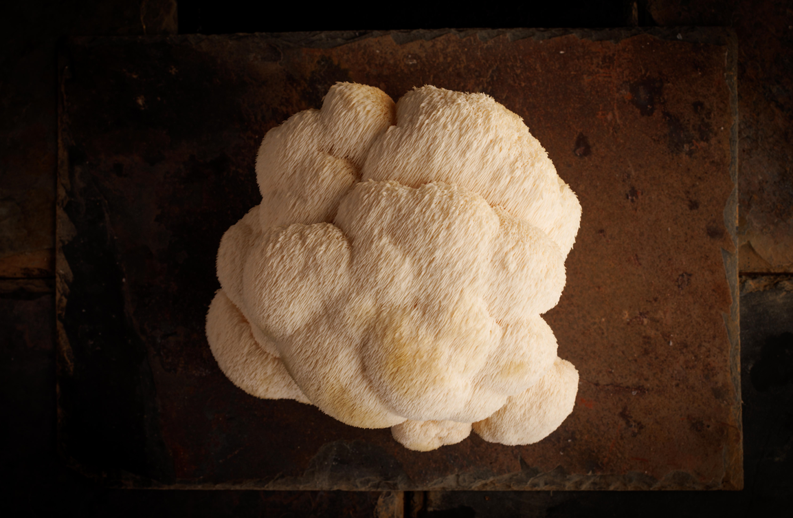 Best Sellers - Mushrooms – Eastwell Farms